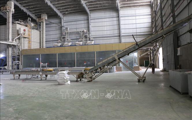 Vietnam exports nearly 5.9 million tonnes of rice - VNA Photos ...