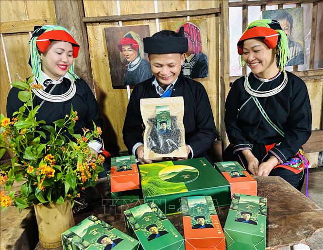 Trà Pèng và hành trình đưa hương vị chè Shan Tuyết vươn xa - Ảnh thời ...