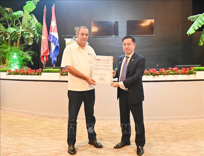 Vietnam – Cuba rice project bears “golden seeds” of friendship - VNA ...