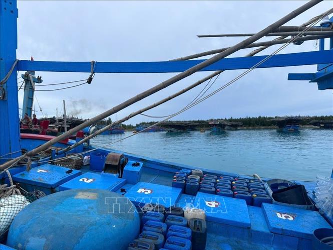 Thông tấn xã Việt Nam (TTXVN)