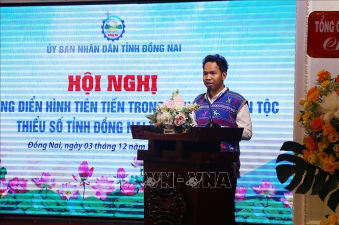 Tuyên dương điển hình tiên tiến trong đồng bào dân tộc thiểu số ở Đồng ...