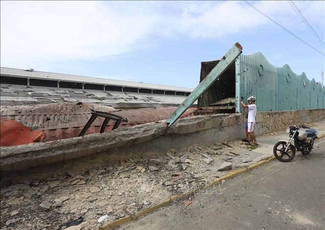 Thông tấn xã Việt Nam (TTXVN)