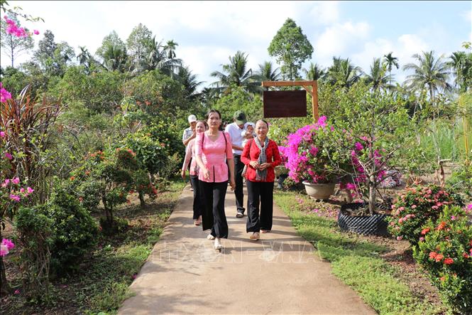 Thông tấn xã Việt Nam (TTXVN)