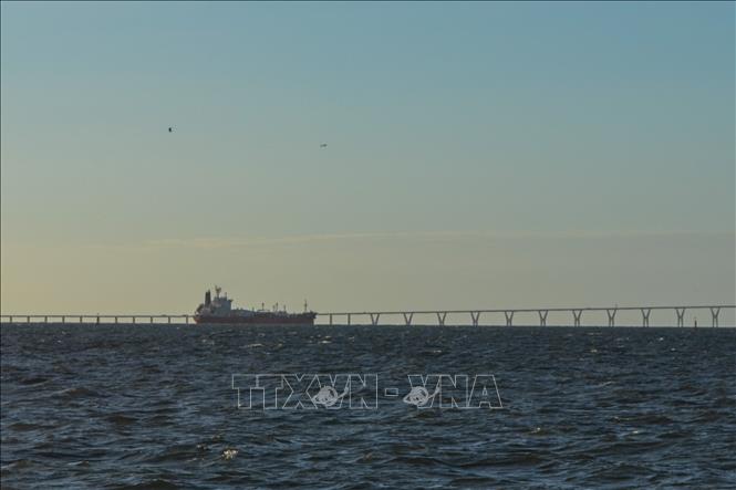 Thông tấn xã Việt Nam (TTXVN)