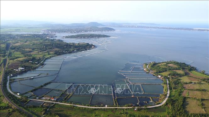 Mangrove forest conservation to restore the ecosystem in O Loan lagoon ...