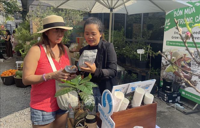 Phiên chợ Tết "xanh" thu hút đông đảo người dân TP. Hồ Chí Minh - Ảnh ...