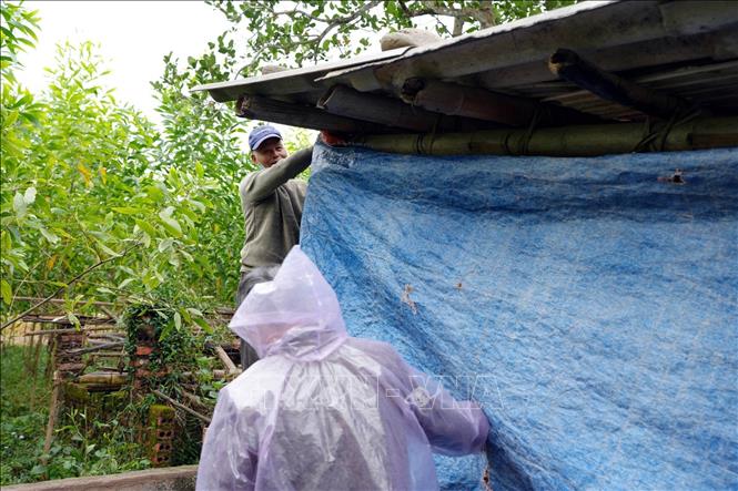 Thông tấn xã Việt Nam (TTXVN)