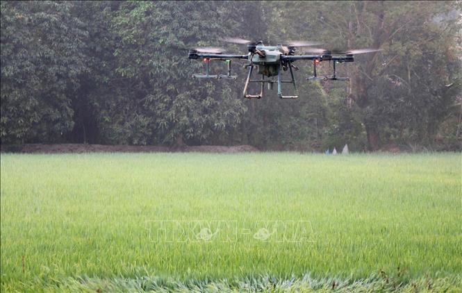 An Giang dành hơn 2.260 tỷ đồng để xây dựng chính quyền số - Ảnh thời ...