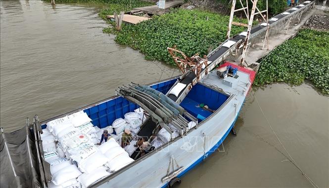 Vietnam plans to export over 7.7 million tonnes of rice in 2026 - VNA ...