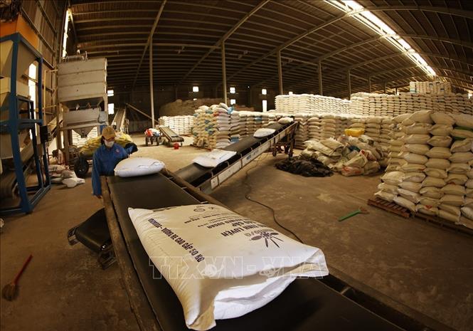 Vietnam plans to export over 7.7 million tonnes of rice in 2026 - VNA ...