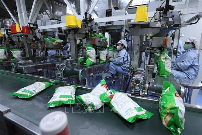 Rice exports up 5% in volume in first two months of 2026 - VNA Photos ...