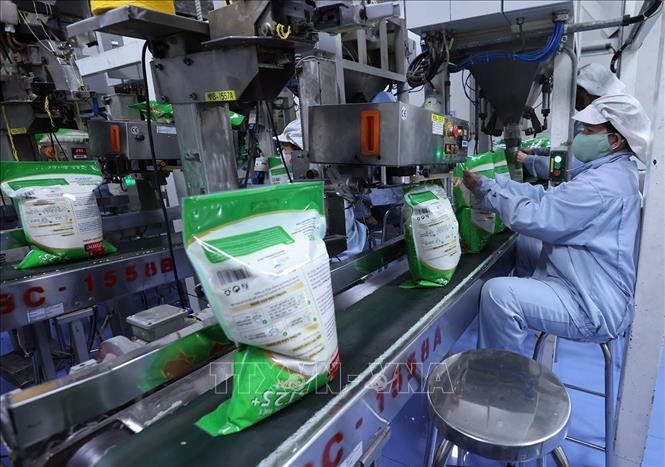 Rice exports up 5% in volume in first two months of 2026 - VNA Photos ...