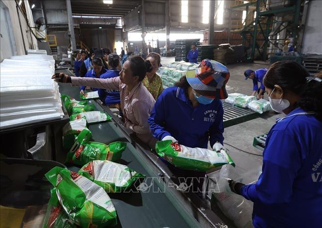 Rice exports up 5% in volume in first two months of 2026 - VNA Photos ...