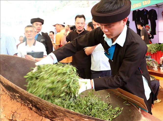 Vụ chè xuân tạo động lực phát triển kinh tế dưới chân dãy Tây Côn Lĩnh ...