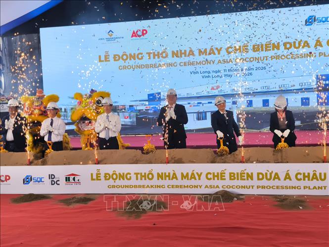 Vĩnh Long nâng cao khả năng tiêu thụ dừa trong nước - Ảnh thời sự trong ...