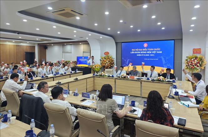 Thông tấn xã Việt Nam (TTXVN)
