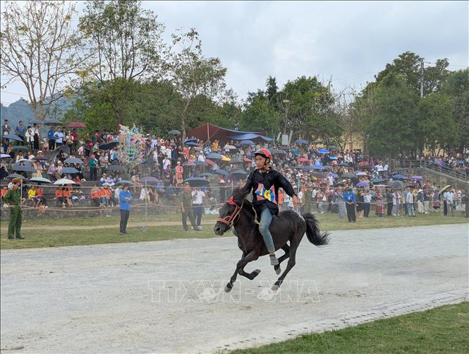 Festival mùa Hè Bắc Hà 2026: Tôn vinh di sản đua ngựa, lan tỏa bản sắc ...