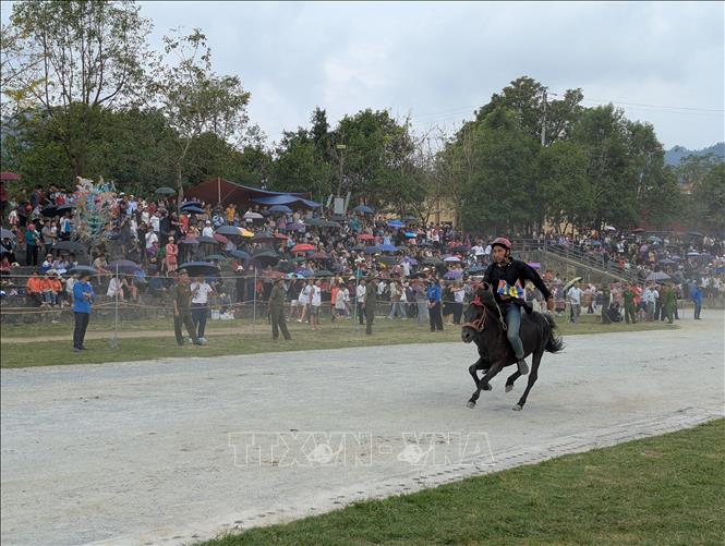 Festival mùa Hè Bắc Hà 2026: Tôn vinh di sản đua ngựa, lan tỏa bản sắc ...