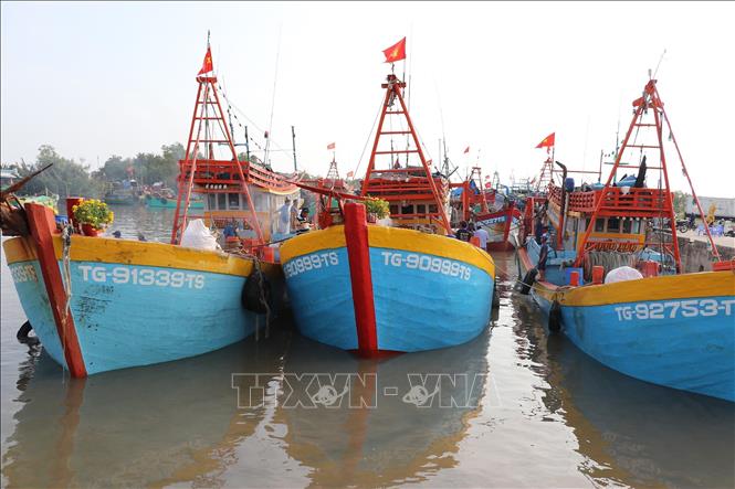 Đồng Tháp tăng cường quản lý, giám sát chặt chẽ hoạt động tàu cá - Ảnh ...