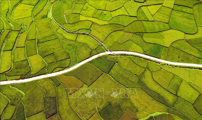 Son La’s breathtakingly beautiful rice fields - VNA Photos - Vietnam ...
