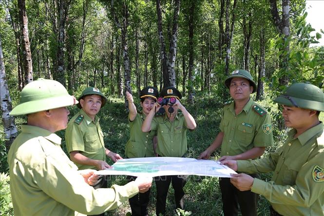 Kiểm lâm Hà Tĩnh đẩy mạnh ứng dụng các phần mềm số vào quản lý, bảo vệ ...