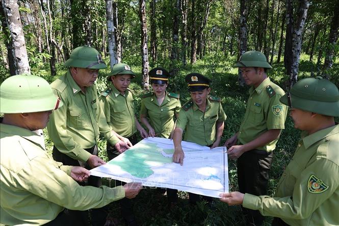 Kiểm lâm Hà Tĩnh đẩy mạnh ứng dụng các phần mềm số vào quản lý, bảo vệ ...