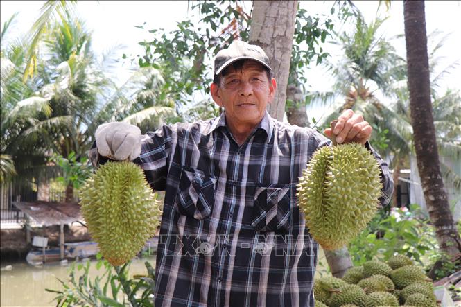 Agro-forestry-aquatic product exports up over 9% in first five months ...