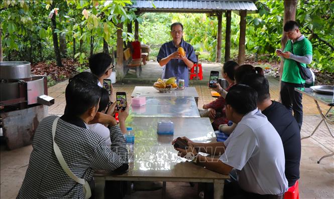 Khảo sát hoạt động, sản phẩm du lịch ở Cần Thơ - Ảnh thời sự trong nước ...