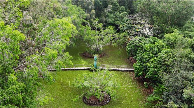 Mua Xuan ecotourism site- A pristine and peaceful destination in Can ...