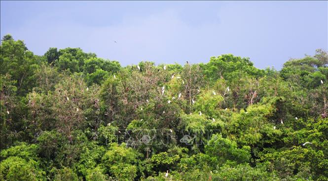 Mua Xuan ecotourism site- A pristine and peaceful destination in Can ...