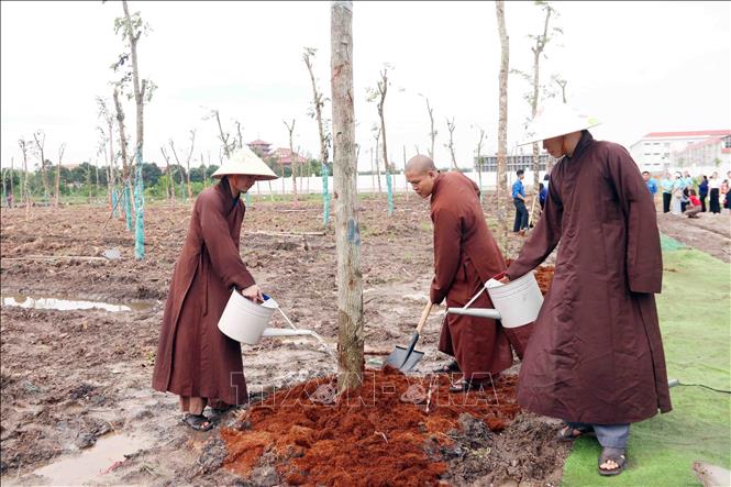 Thành phố Hồ Chí Minh phát động trồng cây hướng ứng Ngày Môi trường Thế ...