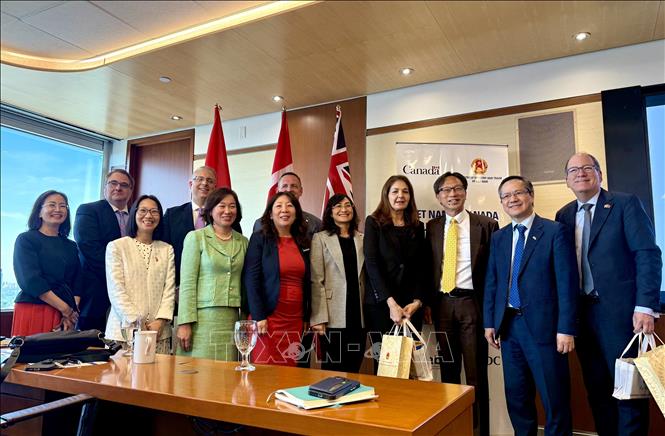 Green transition creates fresh opportunities for Vietnam–Canada ...