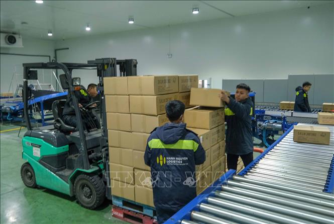Kiến tạo hệ sinh thái logistics tích hợp cho vùng Đồng bằng sông Cửu ...
