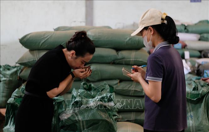 Lam Dong reshapes coffee industry to elevate export value - VNA Photos ...