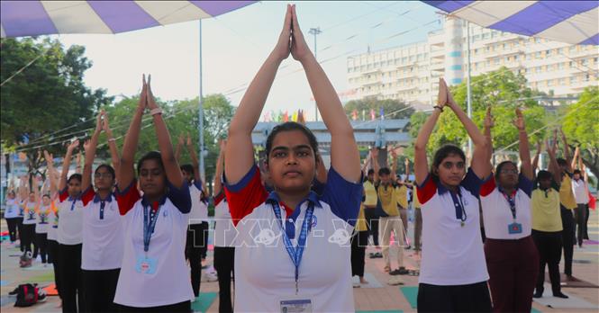 Mass yoga performance celebrates India – Vietnam cultural ties - VNA ...