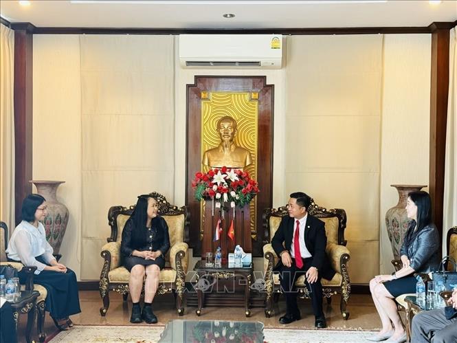 Vietnam Studies Centre taking shape at Thai university - VNA Photos ...