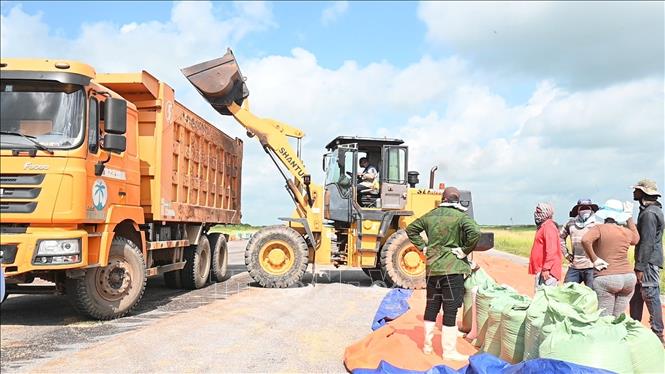 Doanh nghiệp Việt Nam bàn giao 1.200 tấn gạo cho đối tác Cuba - Ảnh ...