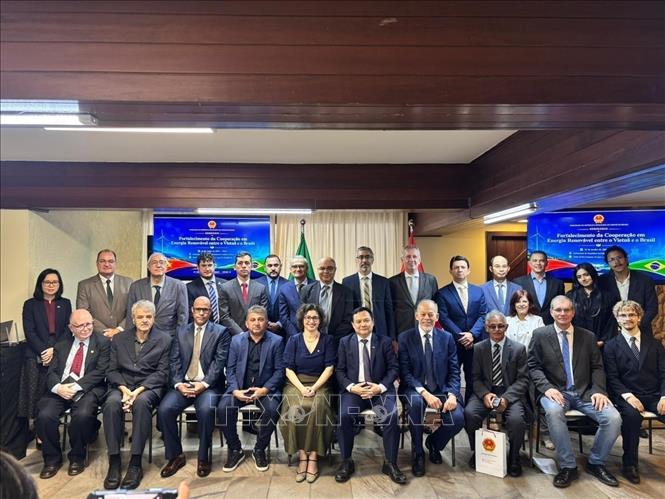 Vietnam, Brazil seek to step up cooperation in renewable energy - VNA ...