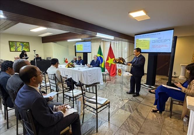Vietnam, Brazil seek to step up cooperation in renewable energy - VNA ...