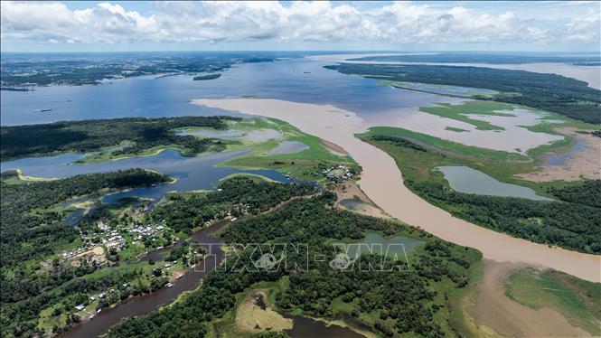 Nguồn nước tại rừng Amazon (Brazil) phục hồi - Ảnh thời sự quốc tế ...