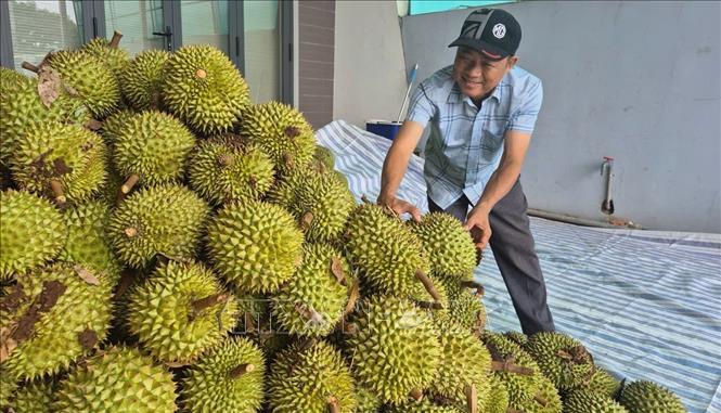 Thông tấn xã Việt Nam (TTXVN)