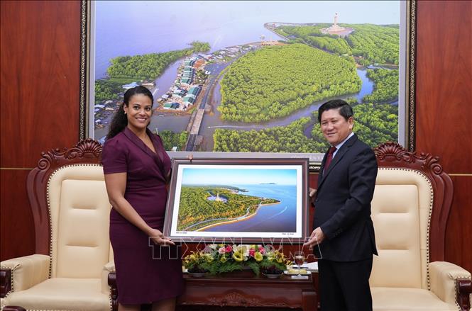 Ca Mau seeks stronger cooperation with Dutch partners in green ...